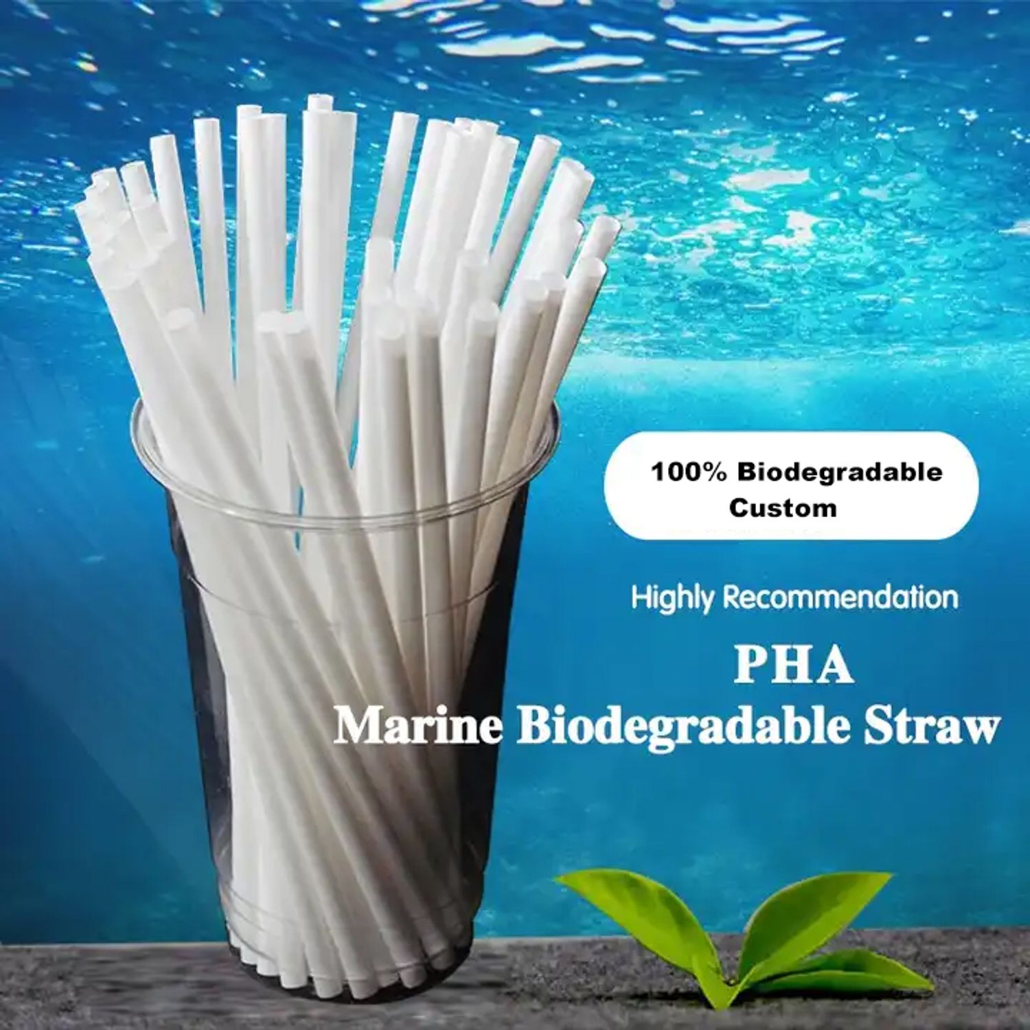 Custom Pha Straws 100% Biodegradable Ocean Compostable Straight Straws