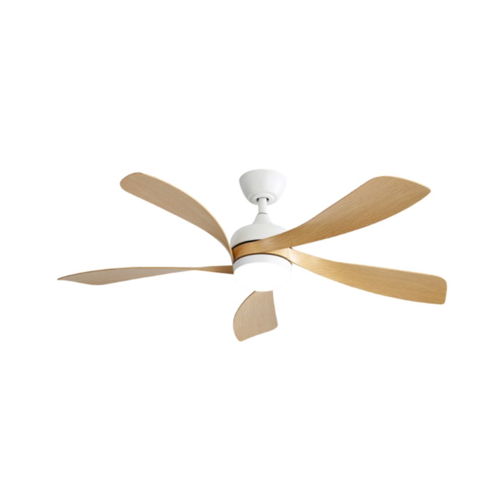 Smart Ceiling Fans | App & Alexa Controlled | Sofucor