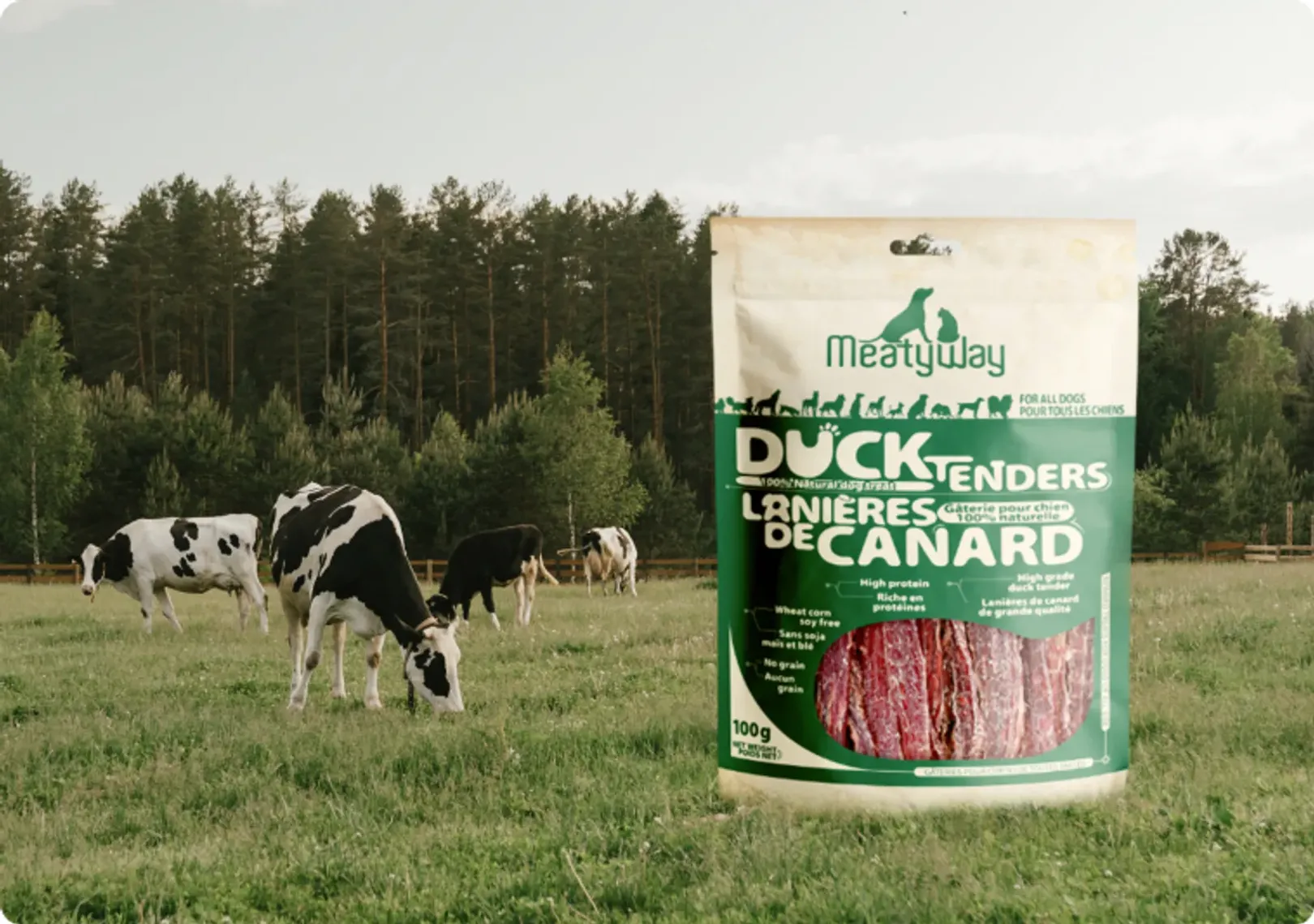 MeatyWay, Leading Pet Food Producers | Peidi