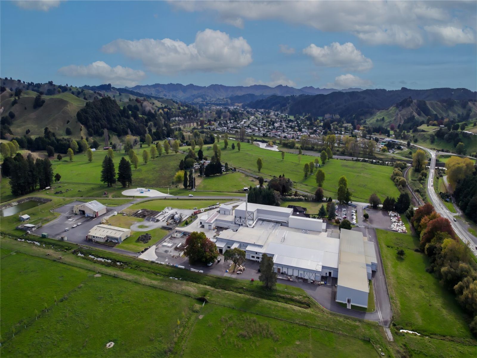 Top Pet Food Suppliers for Quality Nutrition | Peidi