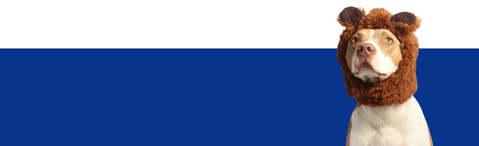 Top Pet Food Suppliers for Quality Nutrition | Peidi