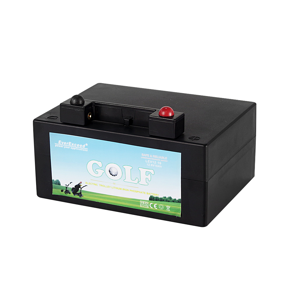 Eco Lithium Batteries For Golf Carts Everexceed